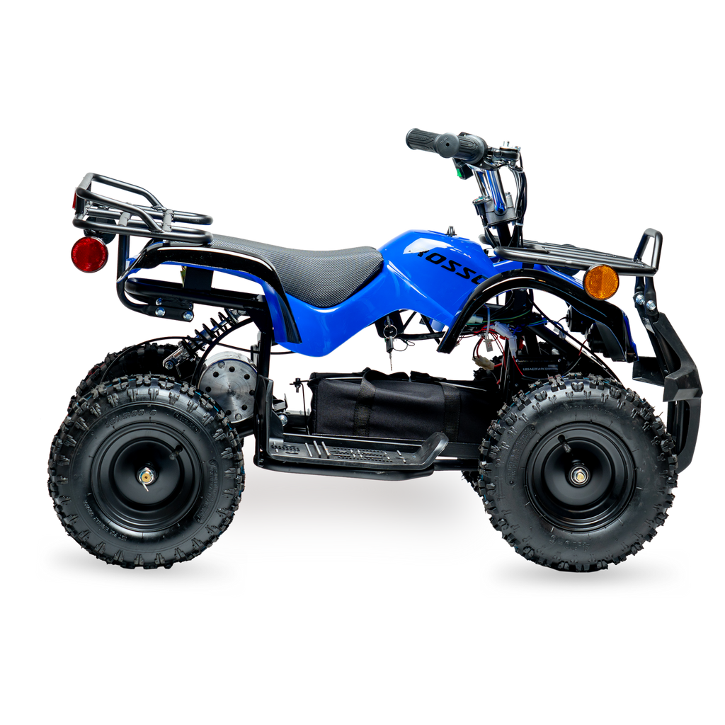 Rosso eQuad X 4-wheeler Bundle - Blue – Rosso Motors Canada