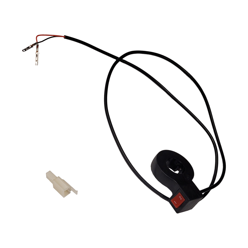 Two Speed Switch – Rosso Motors Canada